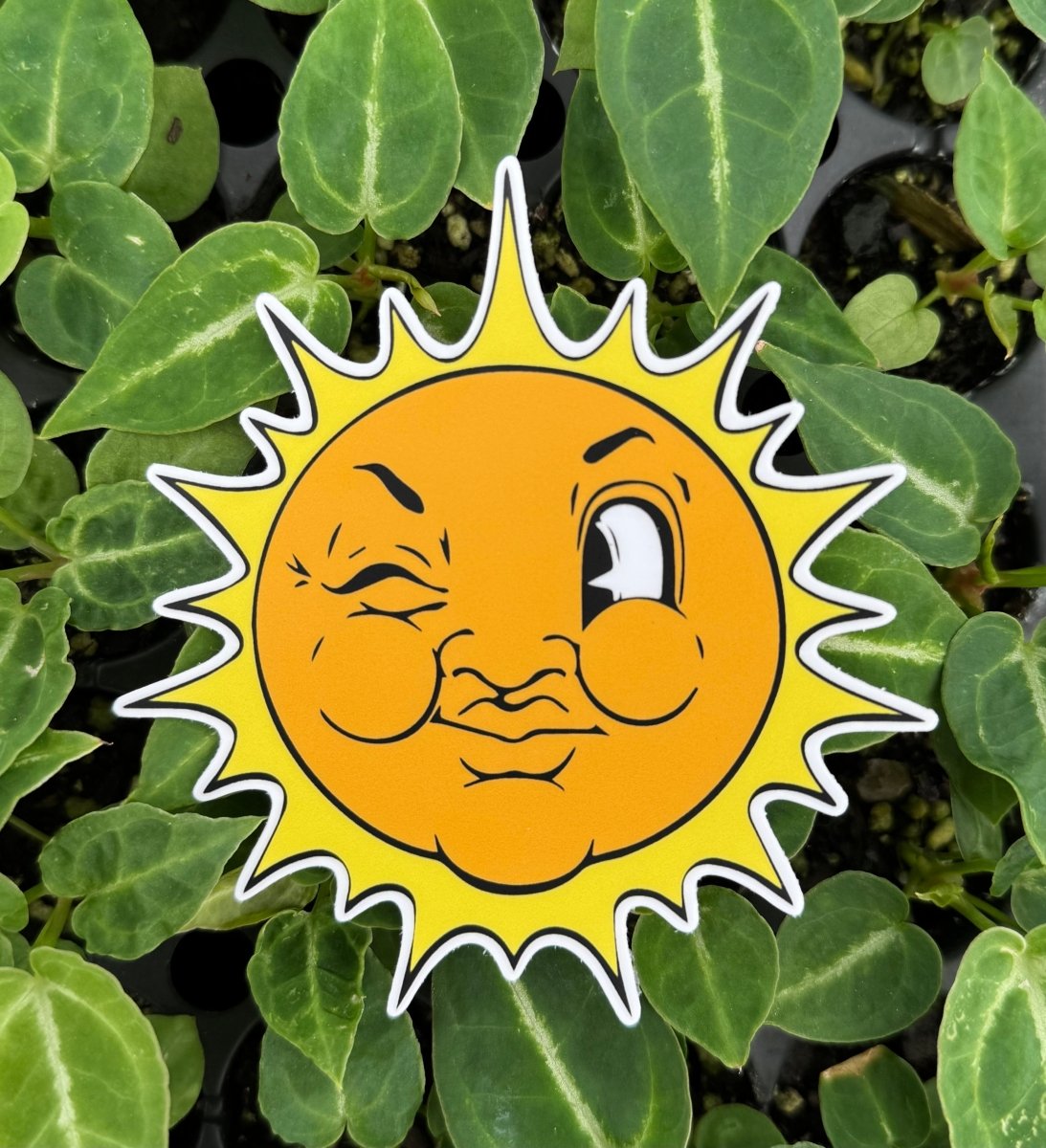 Sun Face Sticker (add-on only) – Nice Plants Good Pots